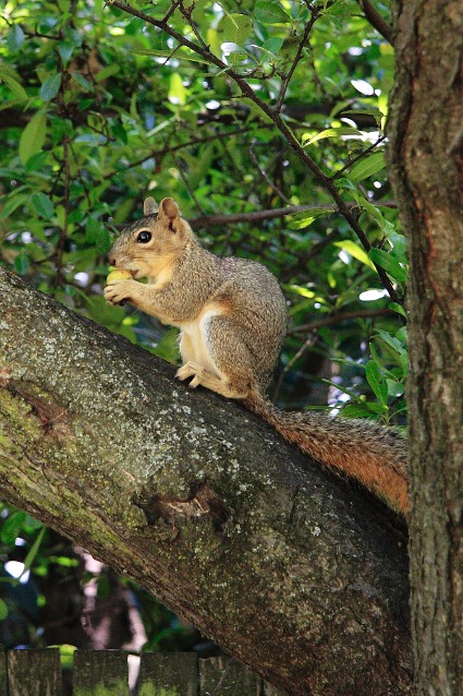 FARK.com: (6621065) Theme of Farktography Contest No. 335: "Where the ...